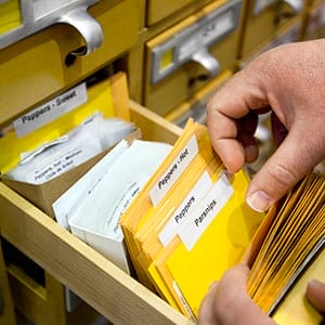 Check out These Seeds From Your Local Seed Library - This Old House