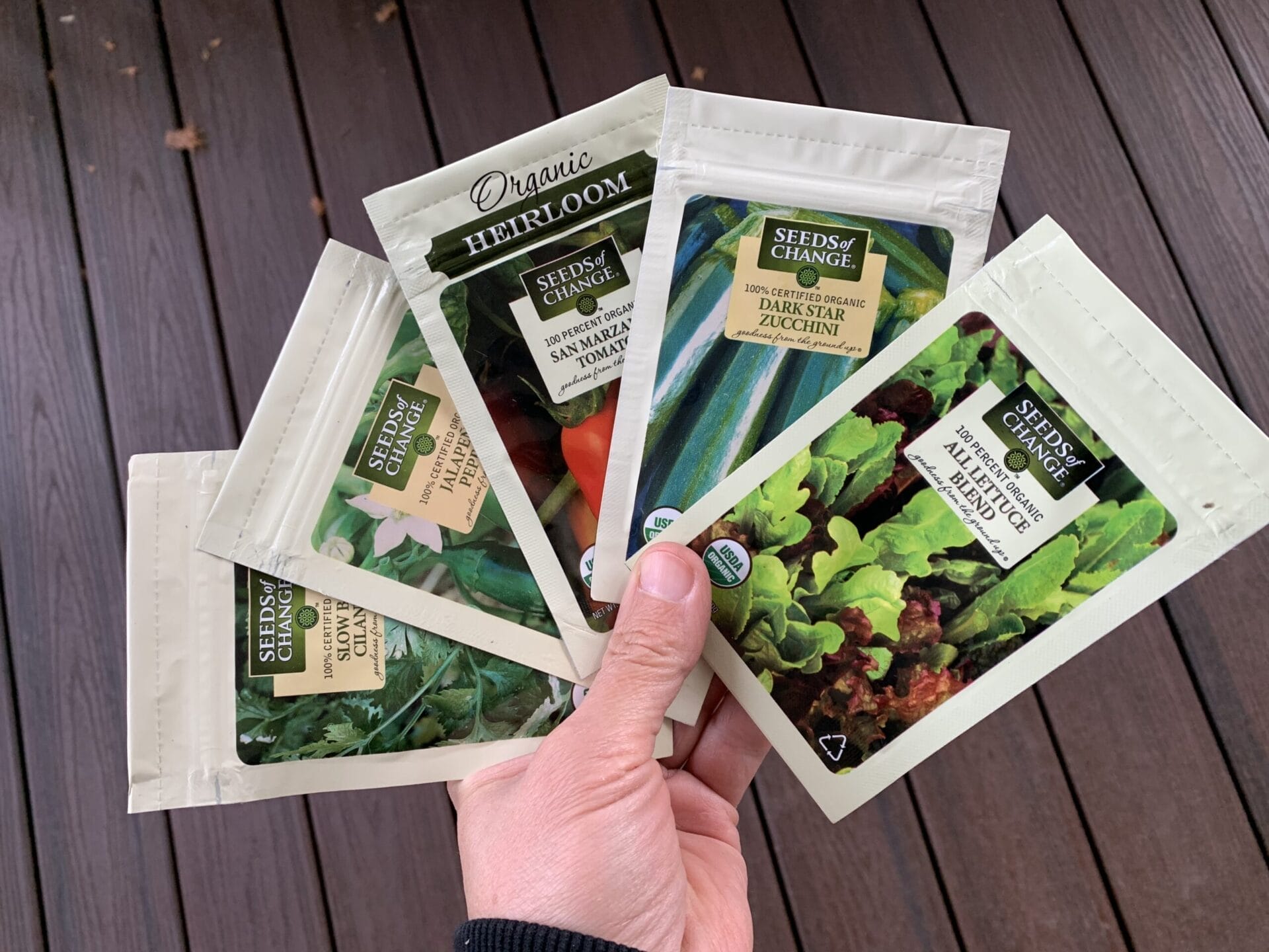 Quick Tips on Starting Seedlings - This Old House