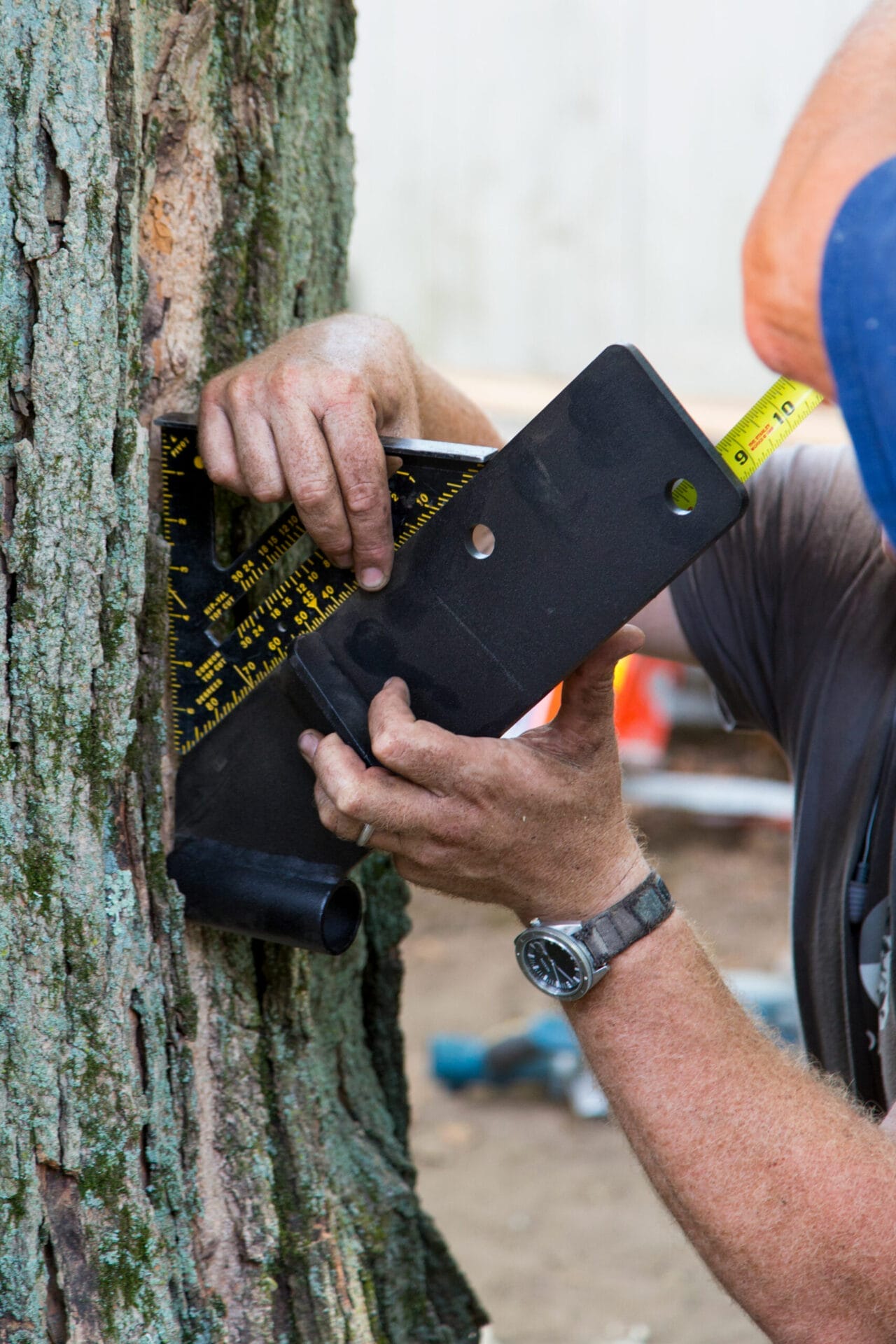 How To Build a Tree Fort - This Old House