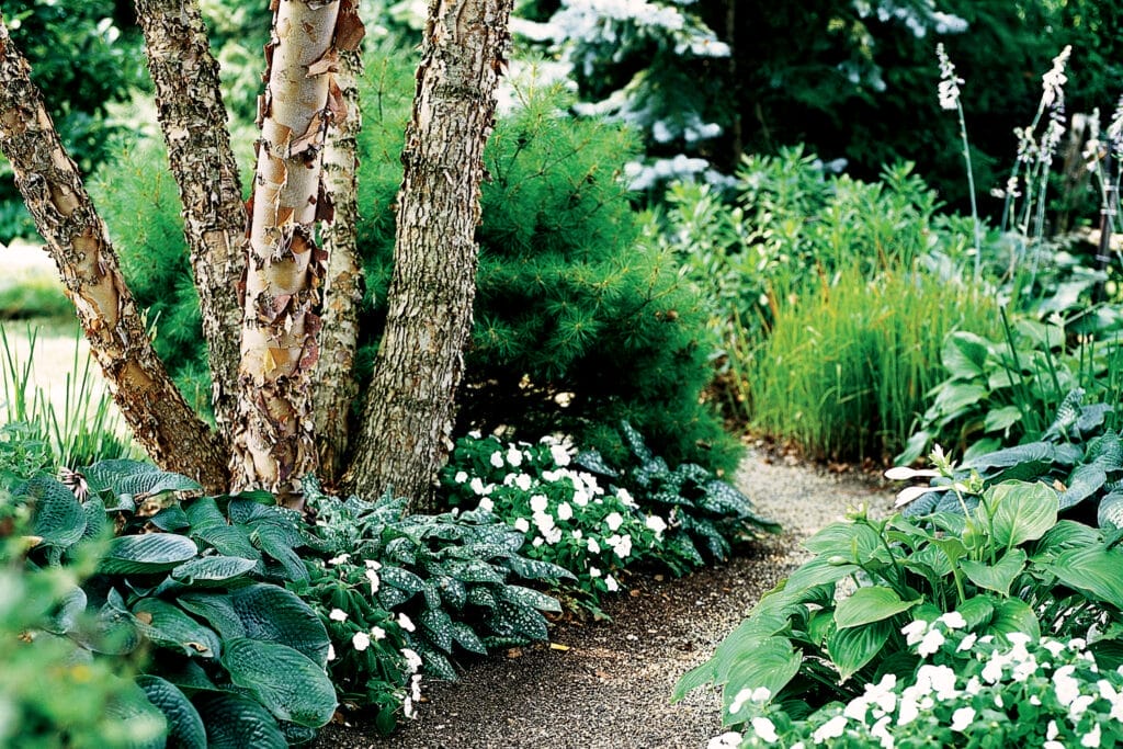 7 Steps to Creating a Backyard From Scratch - This Old House